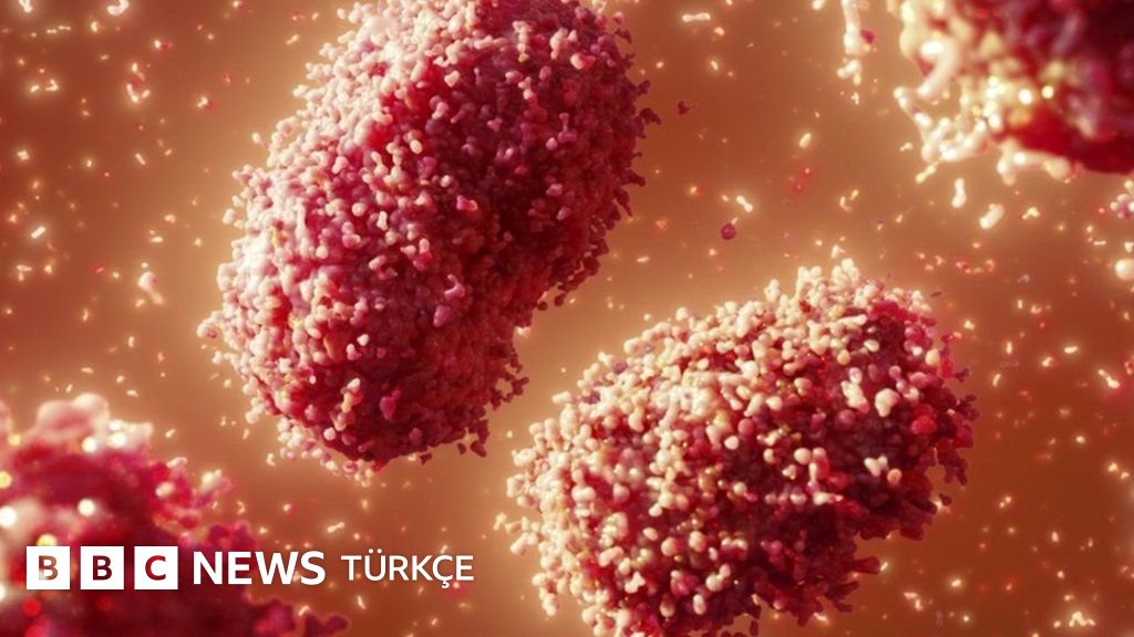 Maymun çiçeği virüsü üç ülkede daha görüldü - BBC News Türkçe