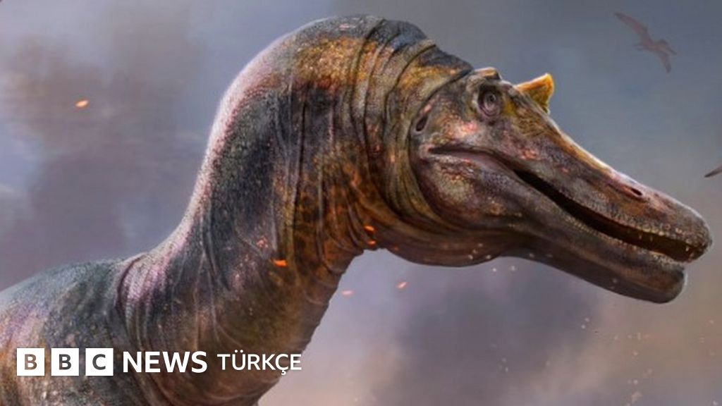 İngiltere’de yeni dinozor türleri bulundu - BBC News Türkçe