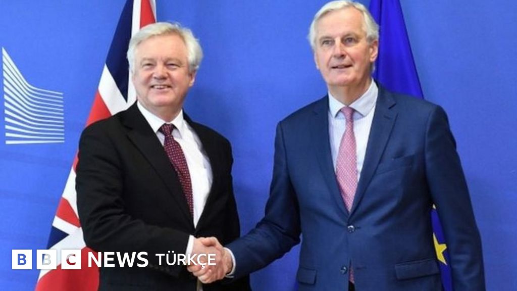 AB ile İngiltere Brexit geçiş dönemi koşullarında anlaştı - BBC News Türkçe
