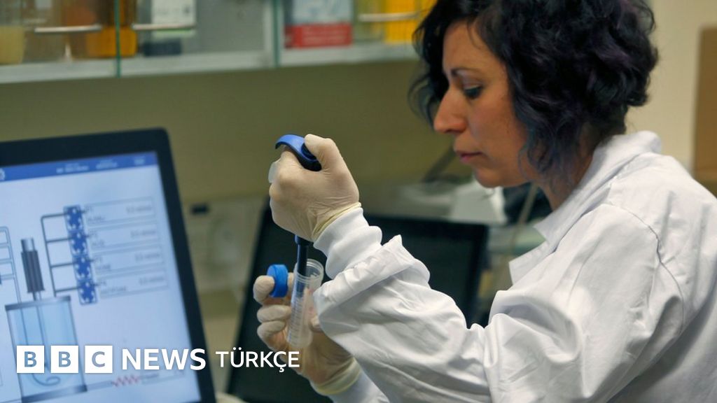Koronavirüs Aşısı Geliştirme çalışmaları Hakkında Neler Biliniyor