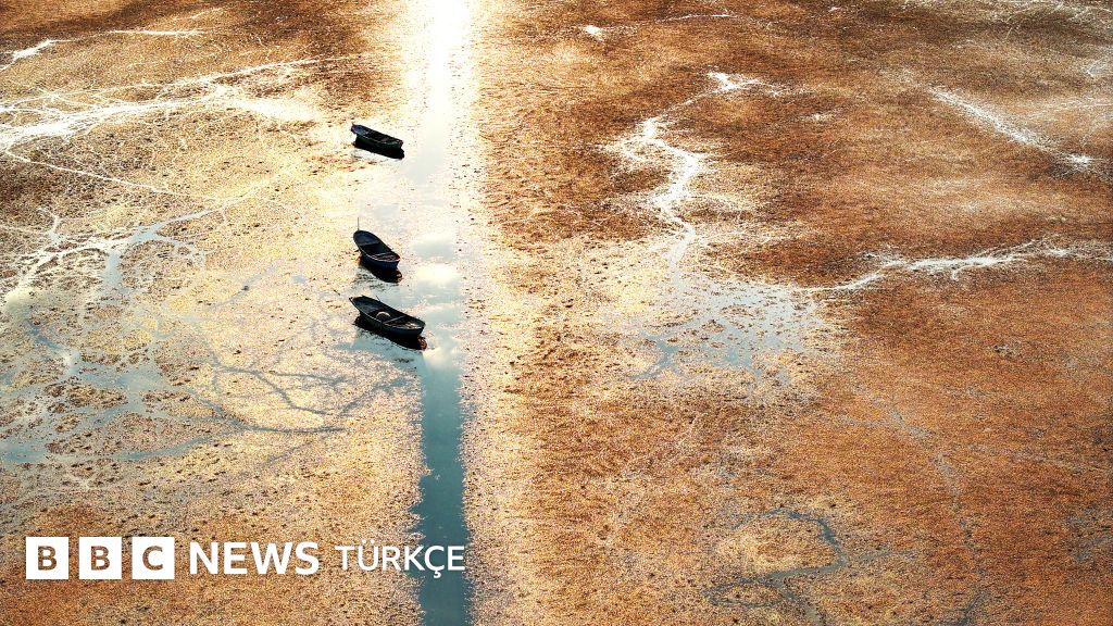 Kurak bölgeler son 40 yılda üç katına çıktı: Riskler neler? - BBC News ...
