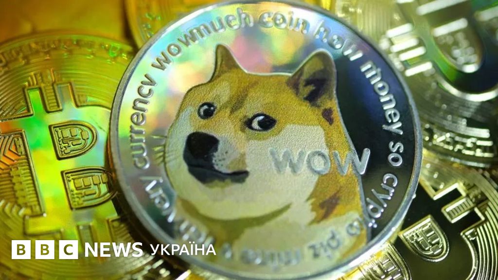 Собака, яка стала мемом Dogecoin, дивовижно одужала - BBC News Україна