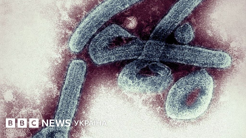 Схожий на Еболу. У Гвінеї з'явився ще один смертельний вірус - BBC News ...