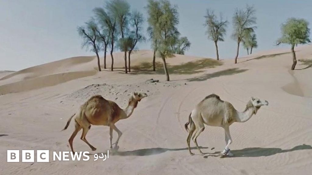 گوگل کے ذریعے دنیا کا سفر - BBC News اردو