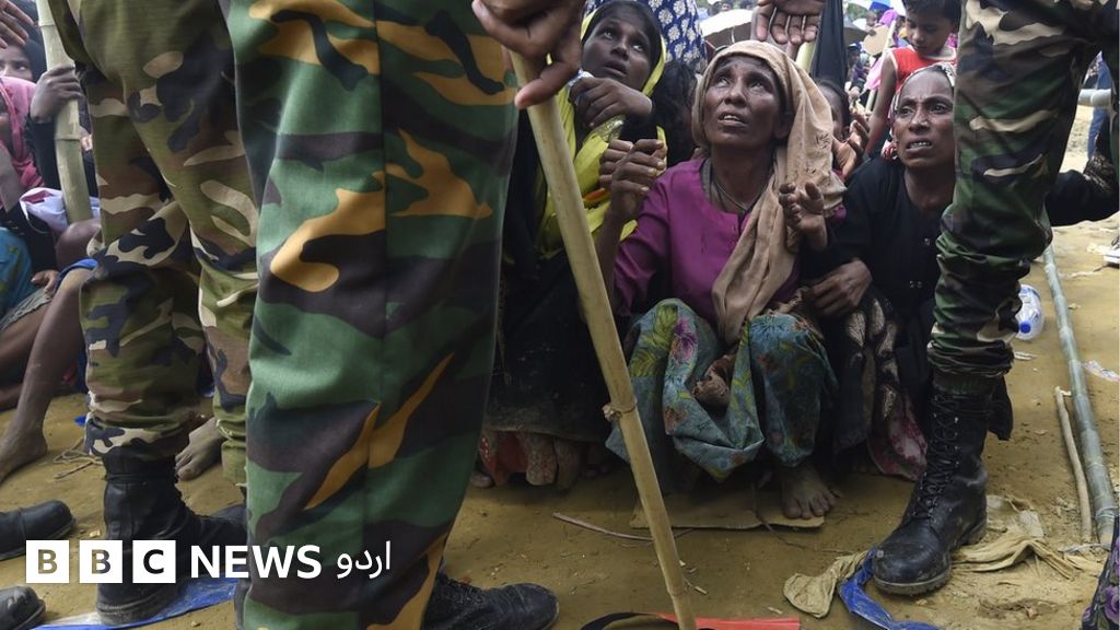 'جو ہم نے رخائن میں گذشتہ چند ہفتوں کے دوران دیکھا ہے وہ بالکل ایک ...