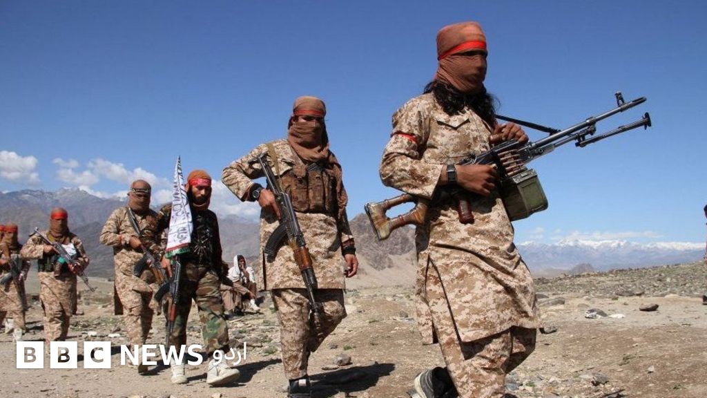افغان طالبان کون ہیں طالبان کے عروج، زوال اور اب دوبارہ عروج کی داستان