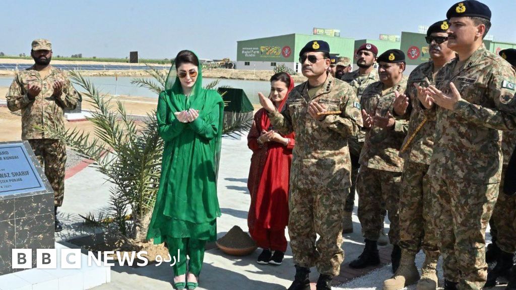 گرین پاکستان: فوج اور پنجاب حکومت چولستان کی بنجر زمینوں کو قابل کاشت کیوں بنانا چاہتے ہیں ...