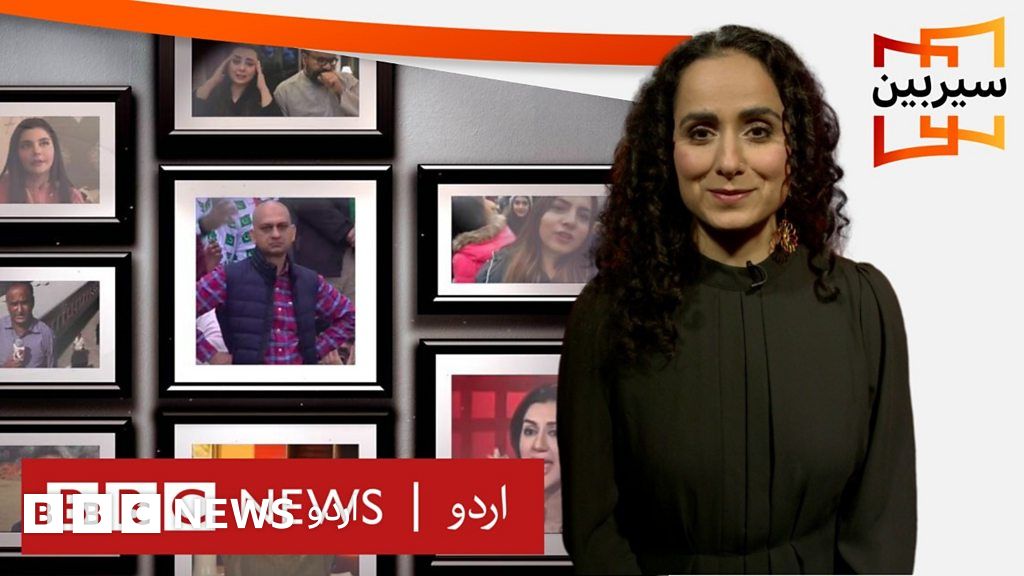 سیربین پاکستانی میمز کی دنیا میں واہ واہ۔۔ لیکن کیا یہ آپ کی زندگی بدل سکتے ہیں؟ Bbc News اردو