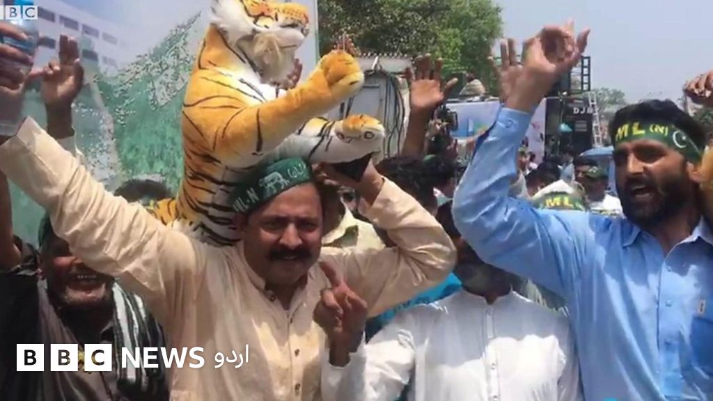 ڈرے ہوئے ہیں۔۔۔ ایک نہتی لڑکی سے‘ Bbc News اردو