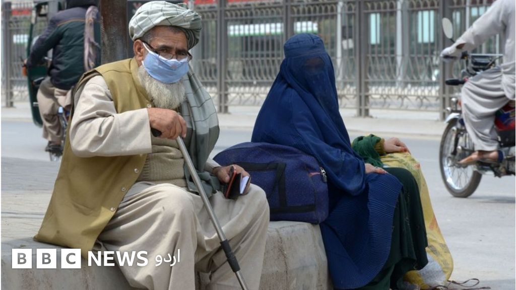 خیبر پختونخوا میں کورونا کی وجہ سے اموات کی شرح زیادہ کیوں ہے؟ Bbc