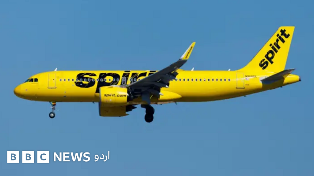 ’آئی پیڈ چھوڑو اور دھیان دو‘: جب ایک مسافر طیارہ امریکی صدر کے ’ایئر ...