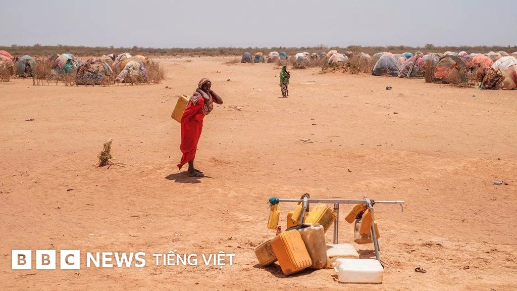 Có thể dự báo và đối phó thành công nạn đói toàn cầu như thế nào - BBC ...