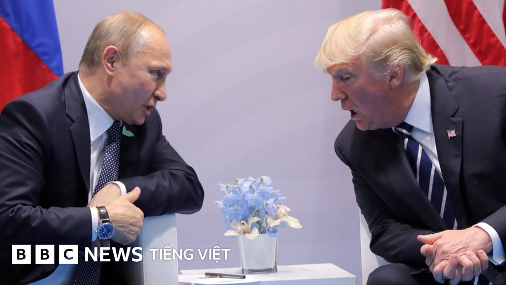 Trump và Putin đã gặp nhau hai lần tại G20 - BBC News Tiếng Việt