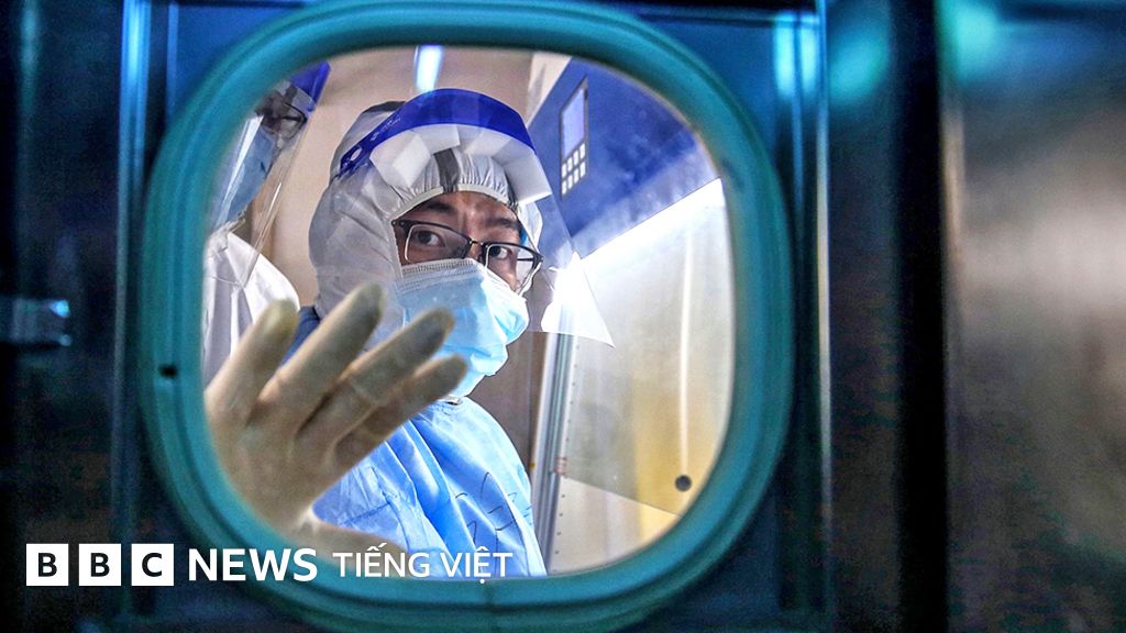 Covid: Nhà khoa học hàng đầu Trung Quốc nói không loại trừ khả năng rò ...