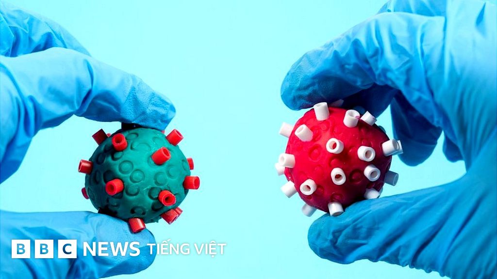 Covid: Cụ bà 90 tuổi tử vong do nhiễm hai biến thể virus - BBC News ...