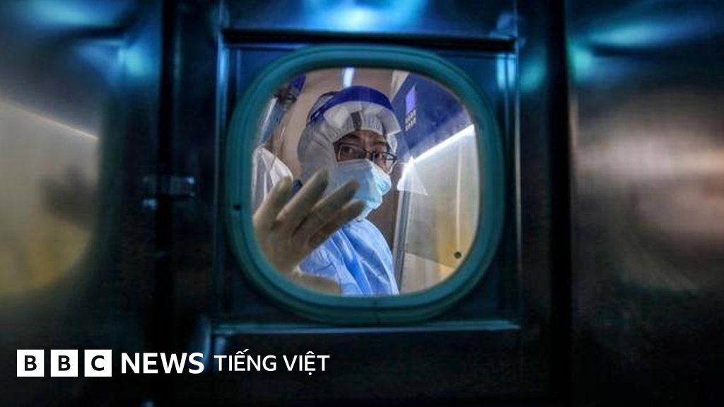 Những đại dịch tàn khốc và bài học thời Covid-19 - BBC News Tiếng Việt