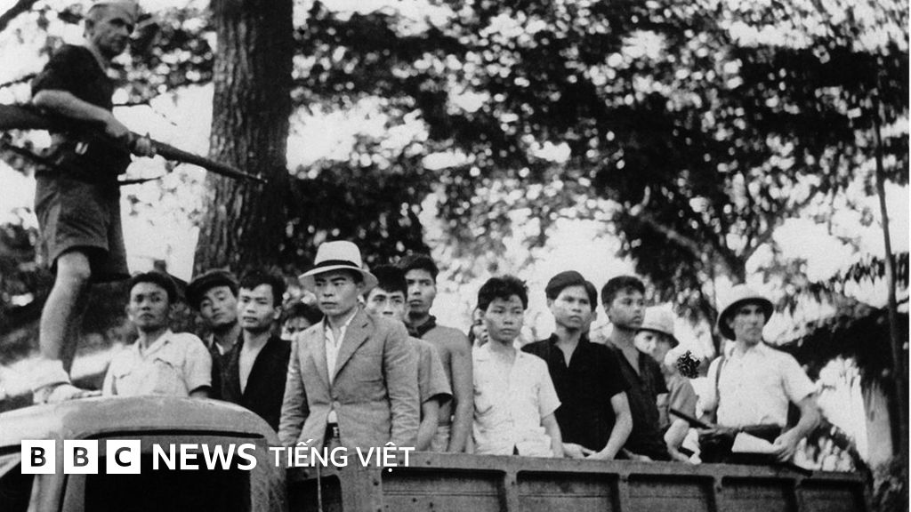 'Chính phủ Việt Nam và tình thế trong nước' 1945-46 - BBC News Tiếng Việt