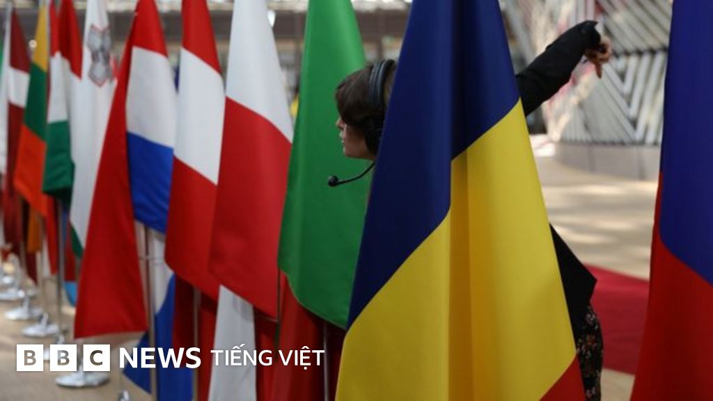 Eu Nhất Trí Lập Trường đàm Phán Brexit Bbc News Tiếng Việt