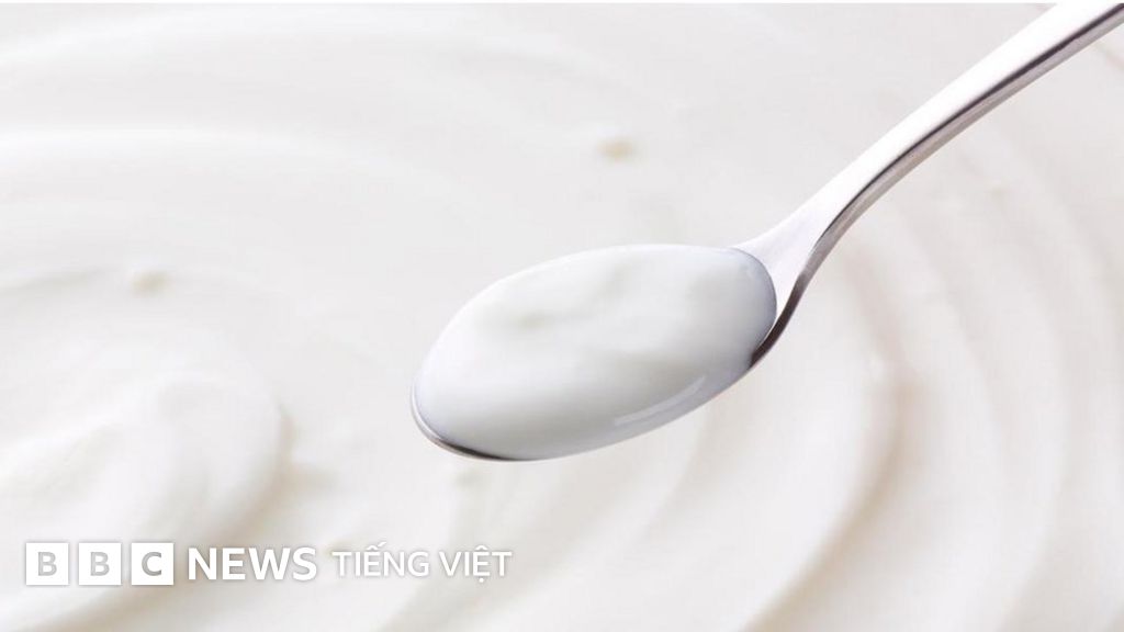 Nên dùng men vi sinh sau khi dùng kháng sinh? - BBC News Tiếng Việt