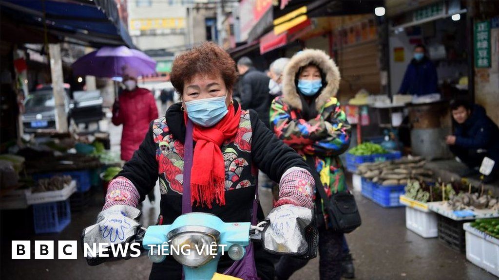 Covid: WHO sẽ điều tra nguồn gốc Vũ Hán, Trung Quốc của virus - BBC News Tiếng Việt