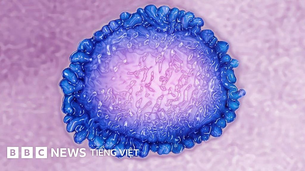 Virus corona: Đại dịch là gì? - BBC News Tiếng Việt