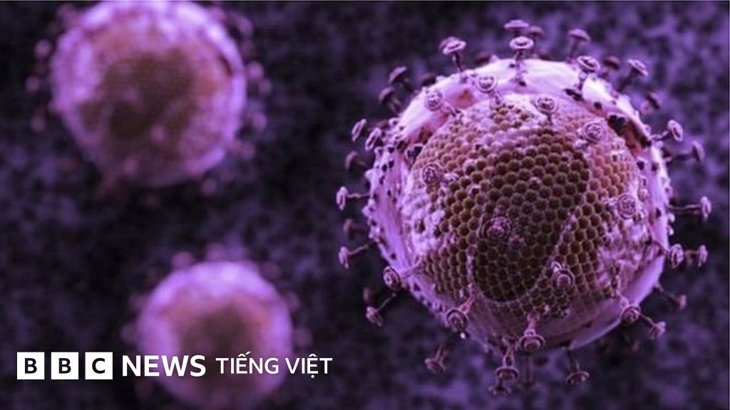 HIV/Aids: TQ: số người mắc HIV/Aids tăng 14% - BBC News Tiếng Việt
