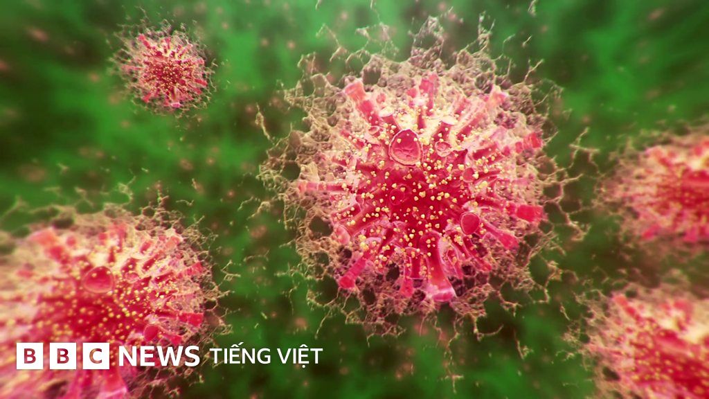 Covid-19: Năm điều cần biết về virus corona - BBC News Tiếng Việt