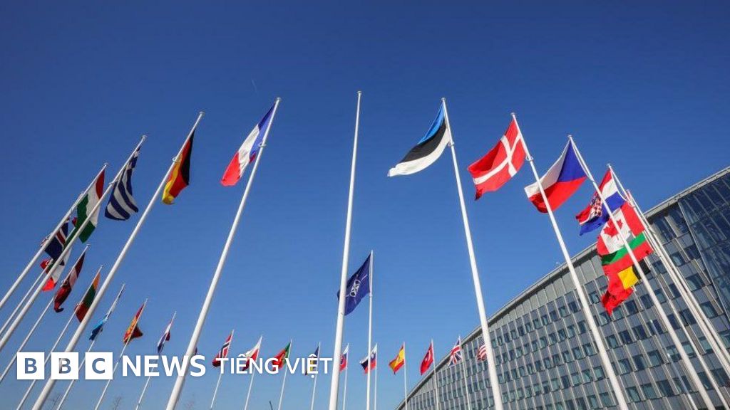 Phần Lan chính thức gia nhập liên minh quân sự Nato - BBC News Tiếng Việt
