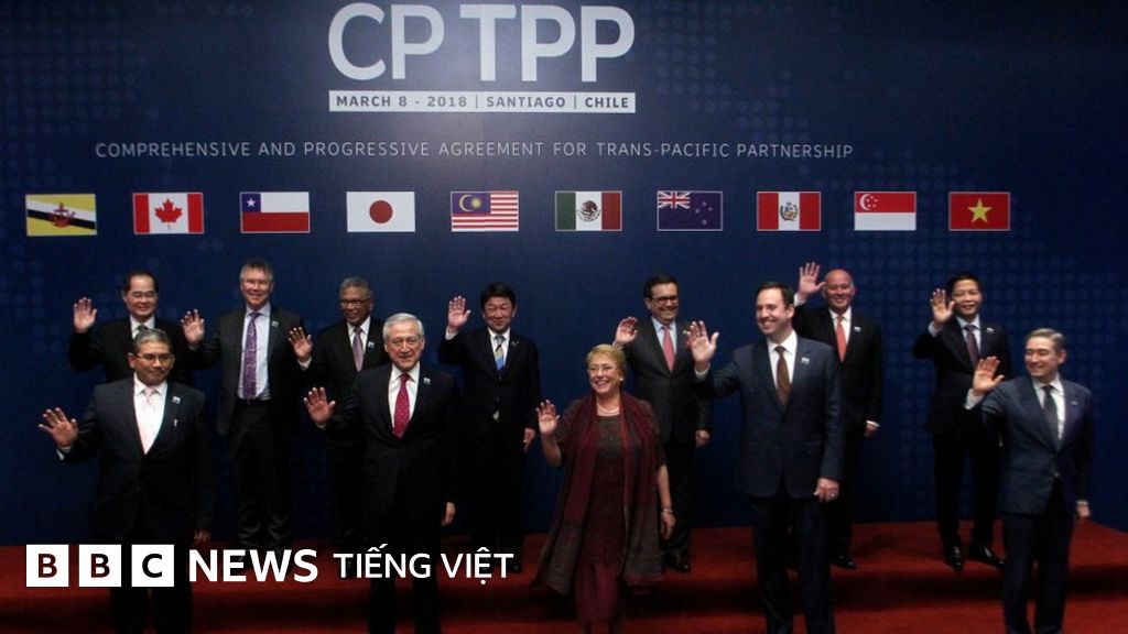 Ký kết CPTPP: Việt Nam có lợi gì? - BBC News Tiếng Việt