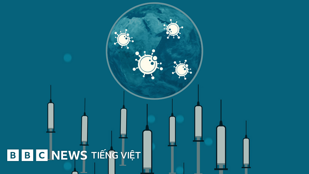 Cơ chế COVAX là gì, được phân phối ra sao? - BBC News Tiếng Việt