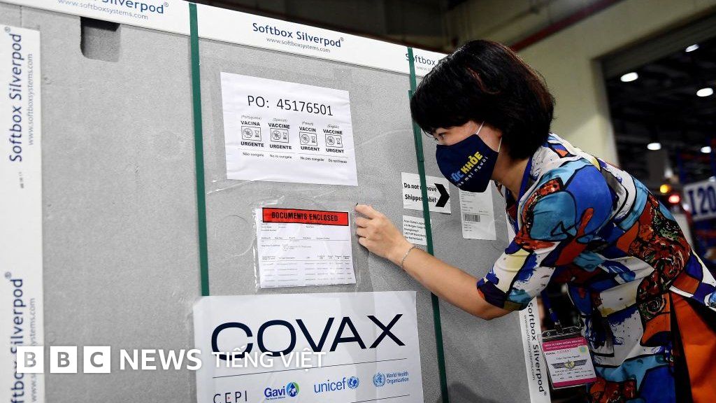 VN có thể cấp phép khẩn cấp để lưu hành vaccine Nano Covax? - BBC News ...