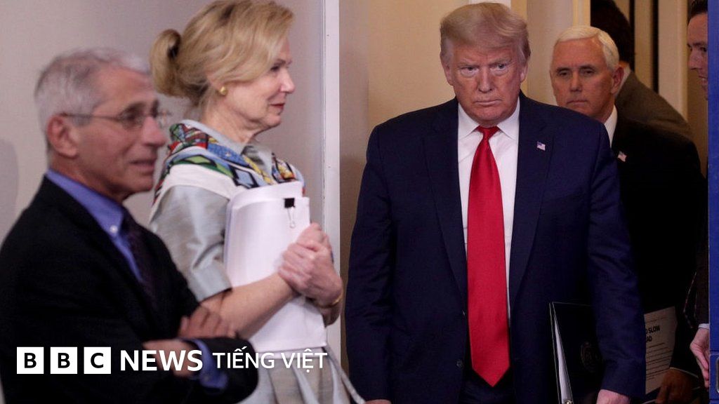 Những điều hiểu sai về Tổng thống Donald Trump - BBC News Tiếng Việt