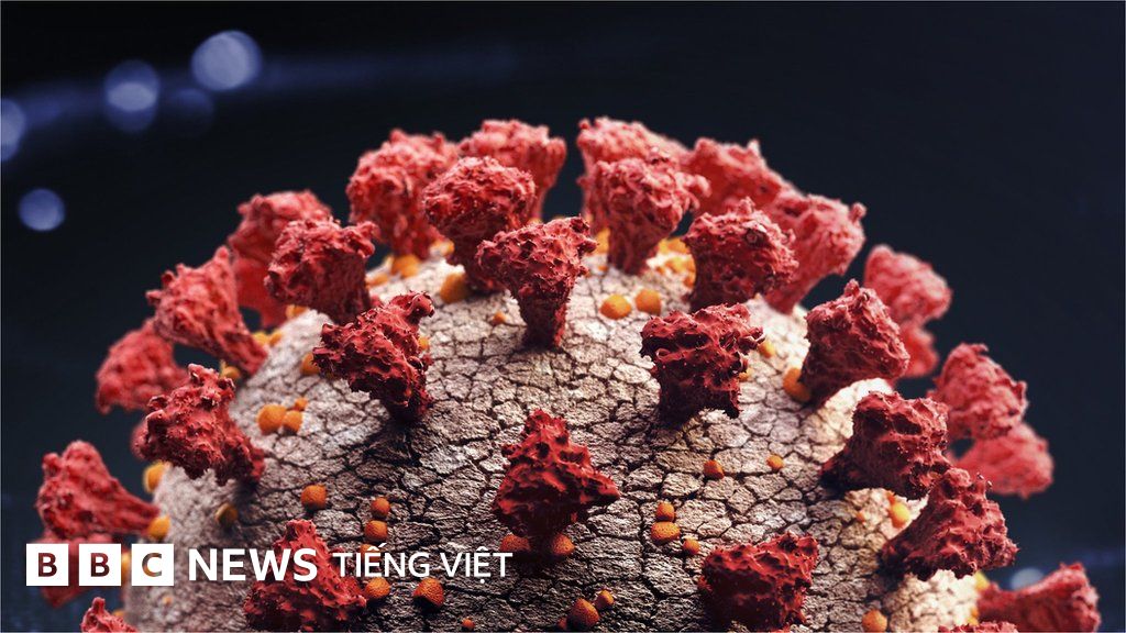 Virus corona: Người Mỹ hai lần nhiễm Covid, lần thứ nhì bị 'nặng hơn ...