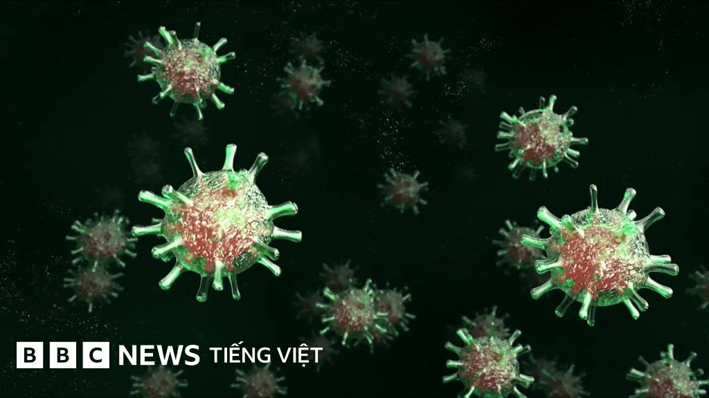 Virus corona: Người đã nhiễm nhưng không ho, sốt có thể lây cho người ...