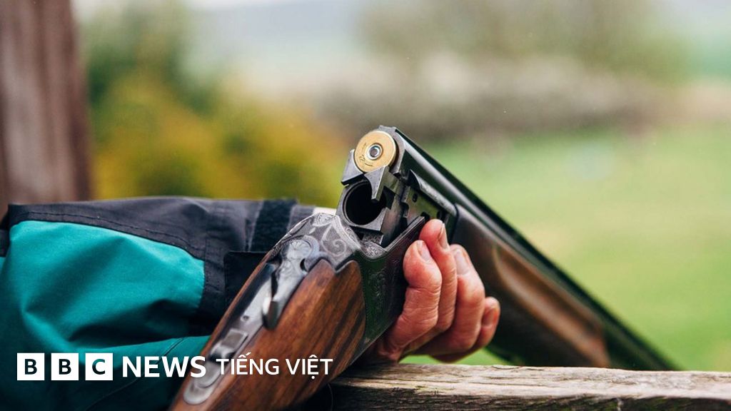 Ở Mỹ, súng để bảo vệ sao lại gây thêm nhiều cái chết? - BBC News Tiếng Việt