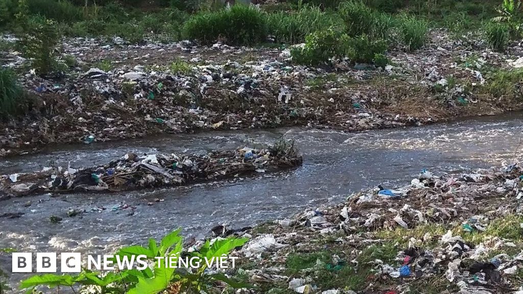 Nghiên Cứu ở Anh Nói Dược Phẩm Trôi Ra Sông Ngòi đe Dọa Sức Khỏe Người