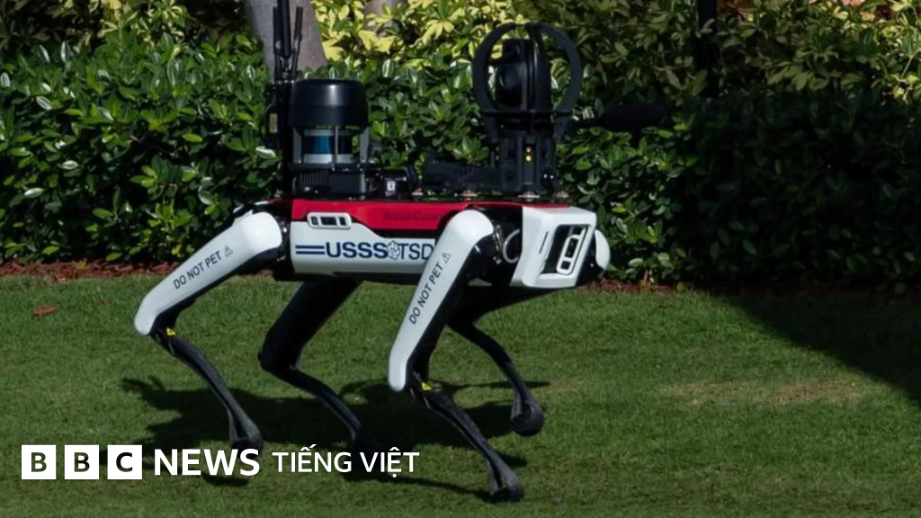 'Cấm vuốt ve': vì sao chó robot đang tuần tra quanh Mar-a-Lago? - BBC ...
