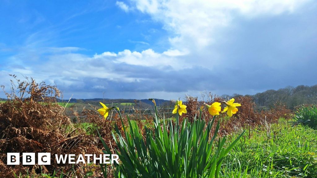 Will we see any spring sunshine this weekend? - BBC Weather