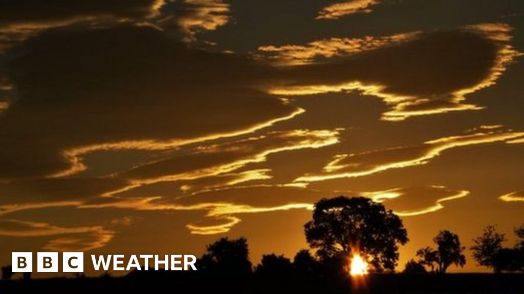 Weather Watchers stories: Lisa - BBC Weather