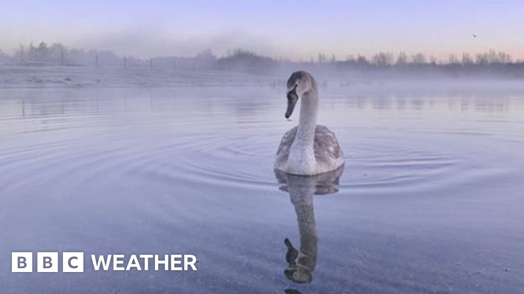 Mist and frost at dawn - BBC Weather