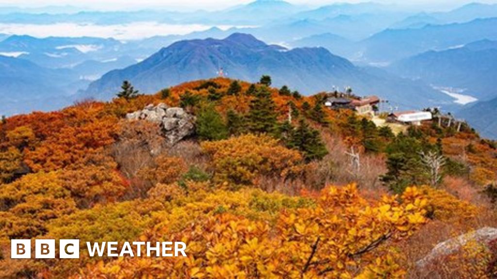 The beauty of autumn - BBC Weather