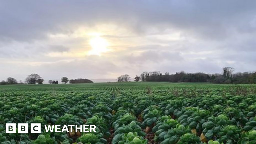Weather for the Week Ahead - BBC Weather