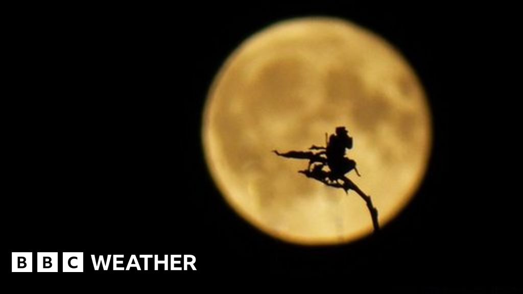 Gallery: Hunter's Moon - BBC Weather