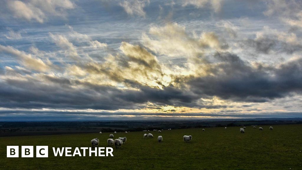 Weather for the week ahead - BBC Weather