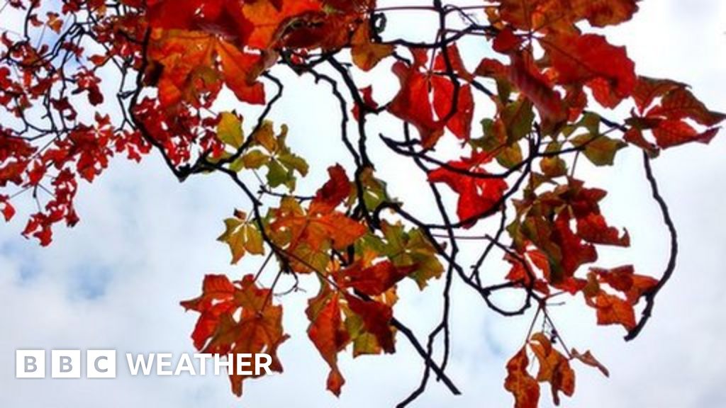 Shades of Autumn - BBC Weather
