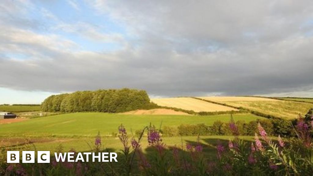 Weather for the week ahead - BBC Weather