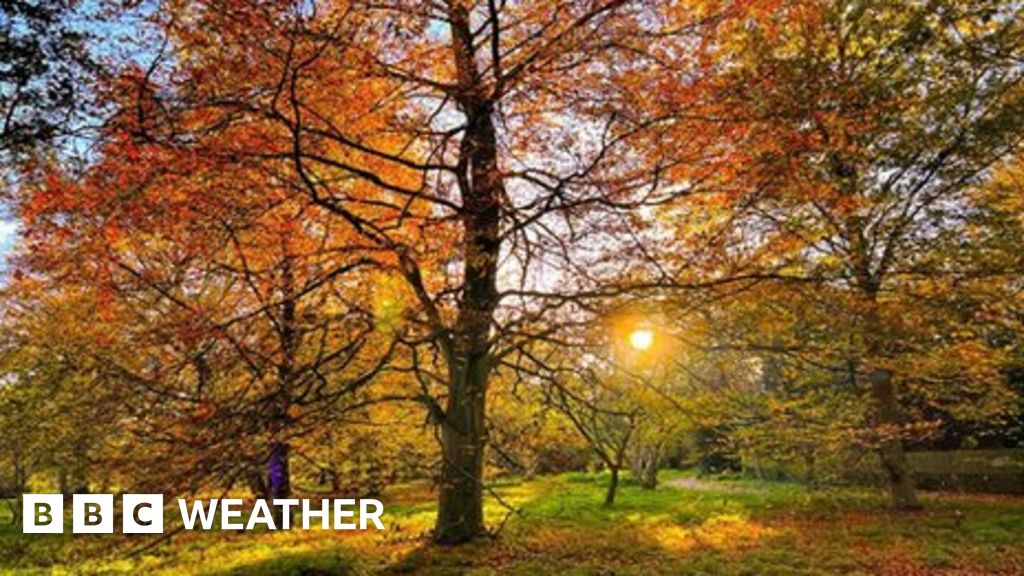 Autumn 2022 is officially one of the warmest on record - BBC Weather