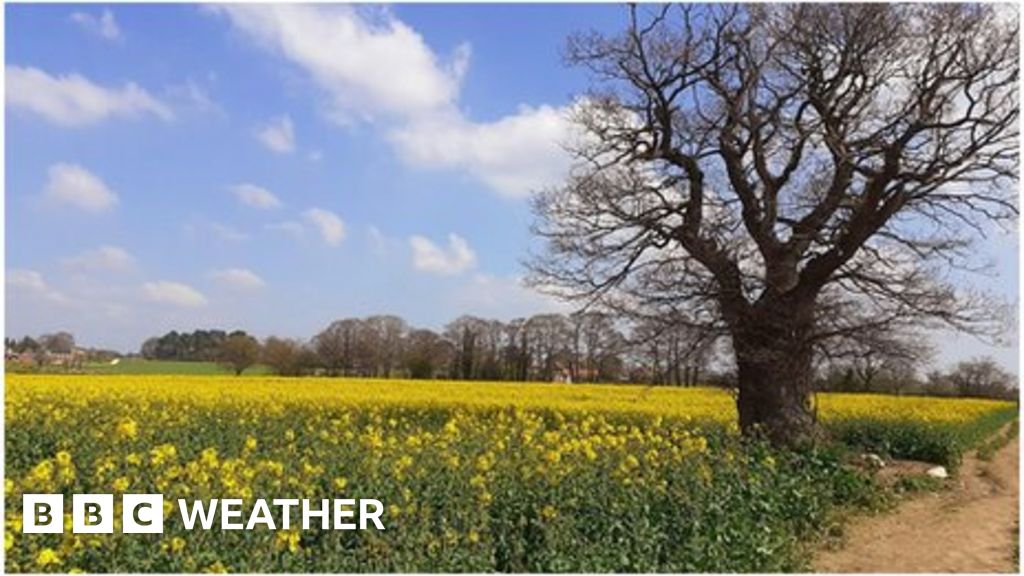 Weather for the Week Ahead - BBC Weather