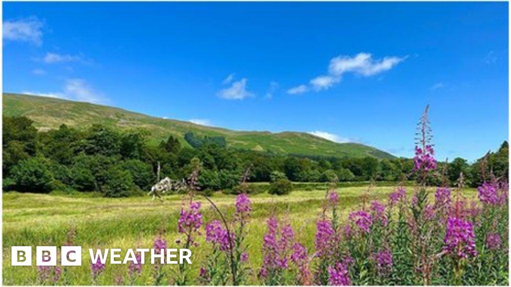 Weather for the Week Ahead - BBC Weather