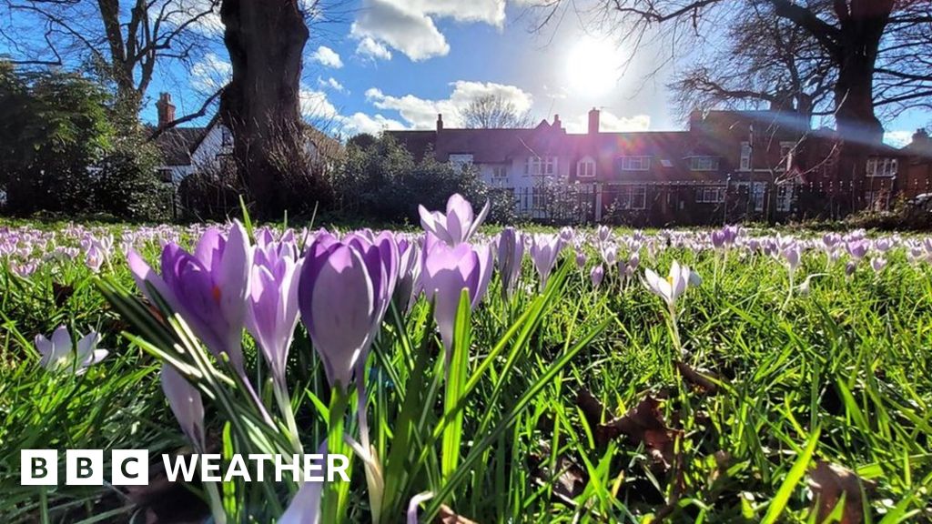 Weather for the Week Ahead - BBC Weather